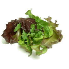 Mesclun